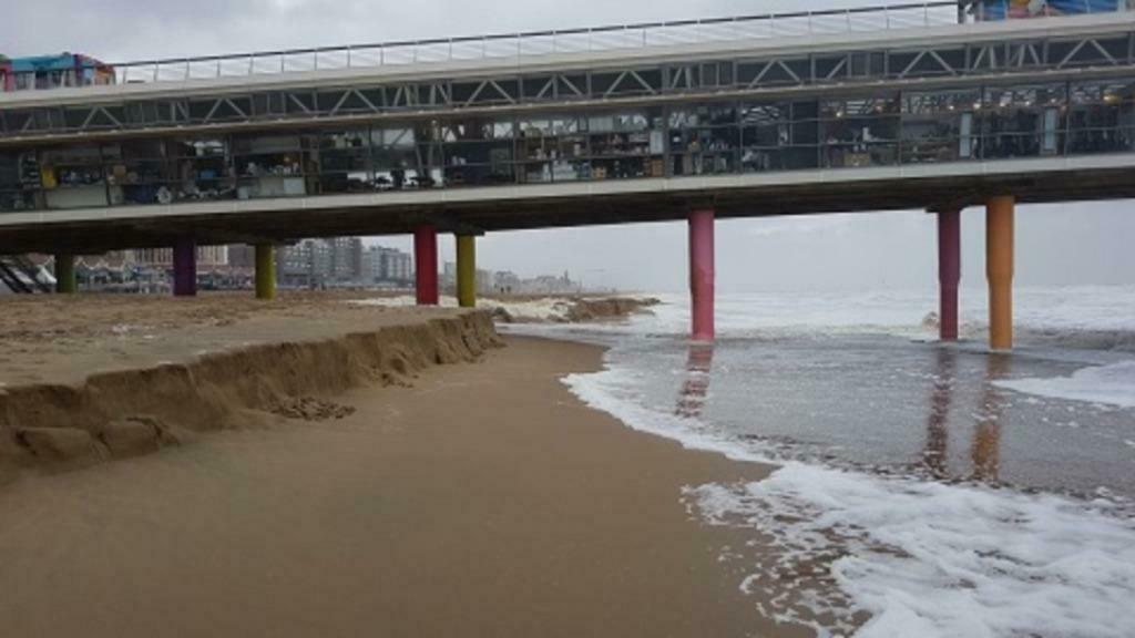 RVS Zeef – Strand Schep Carbon 920 gram – Detectie Parts